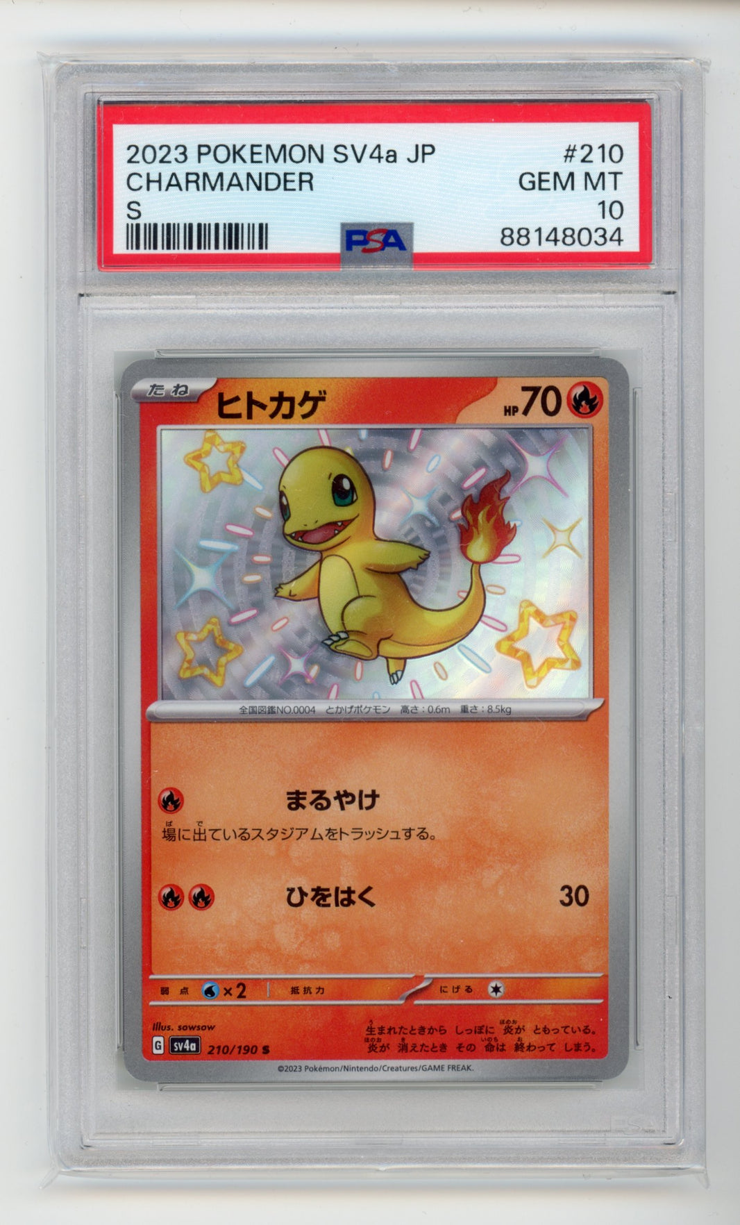 Pokémon - Graderade Kort │ Sveriges Största Utbud – PokeTalk